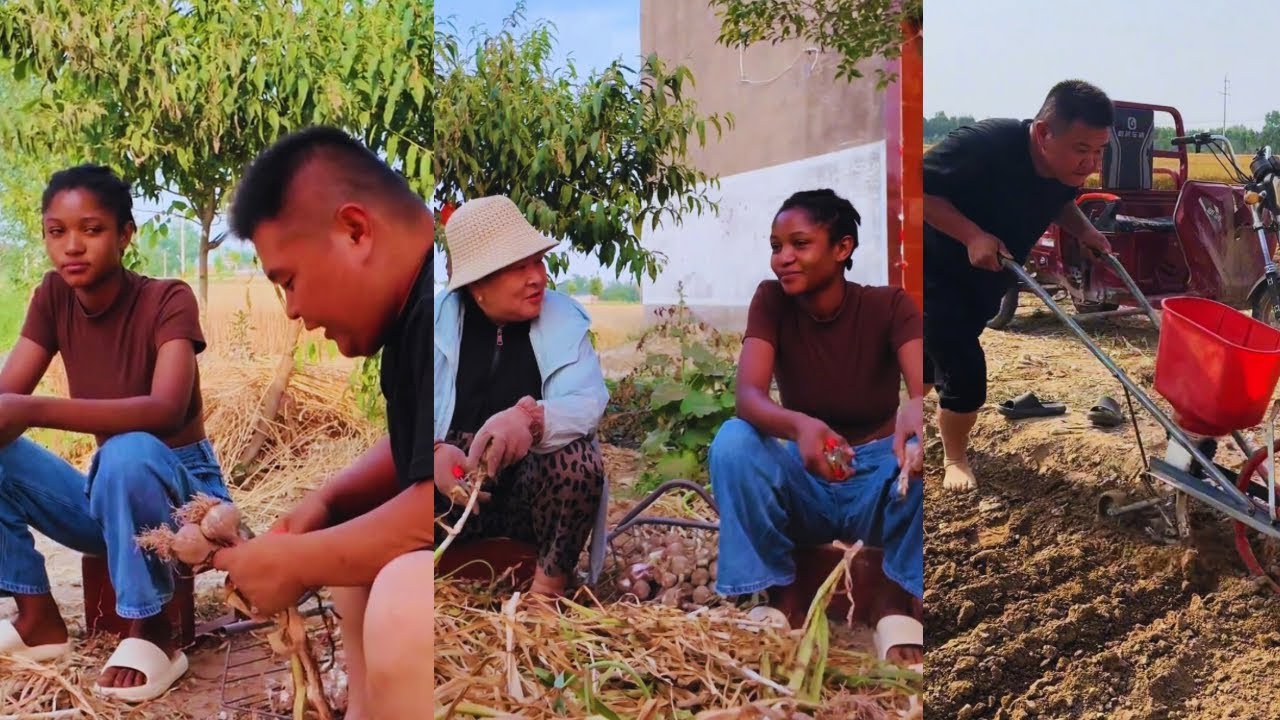 Learn Chinese with Leader of the House today (stock video) - YouTube