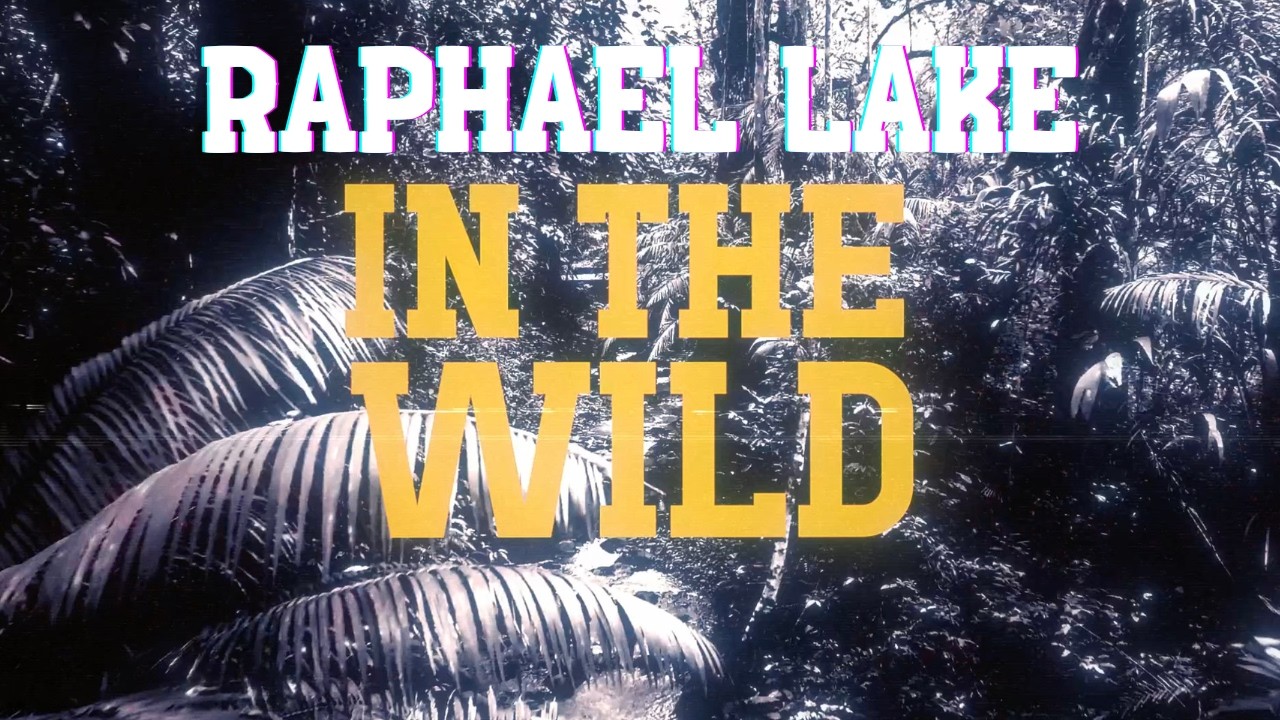Raphael Lake - In The Wild (Official Lyric Video) - YouTube Music