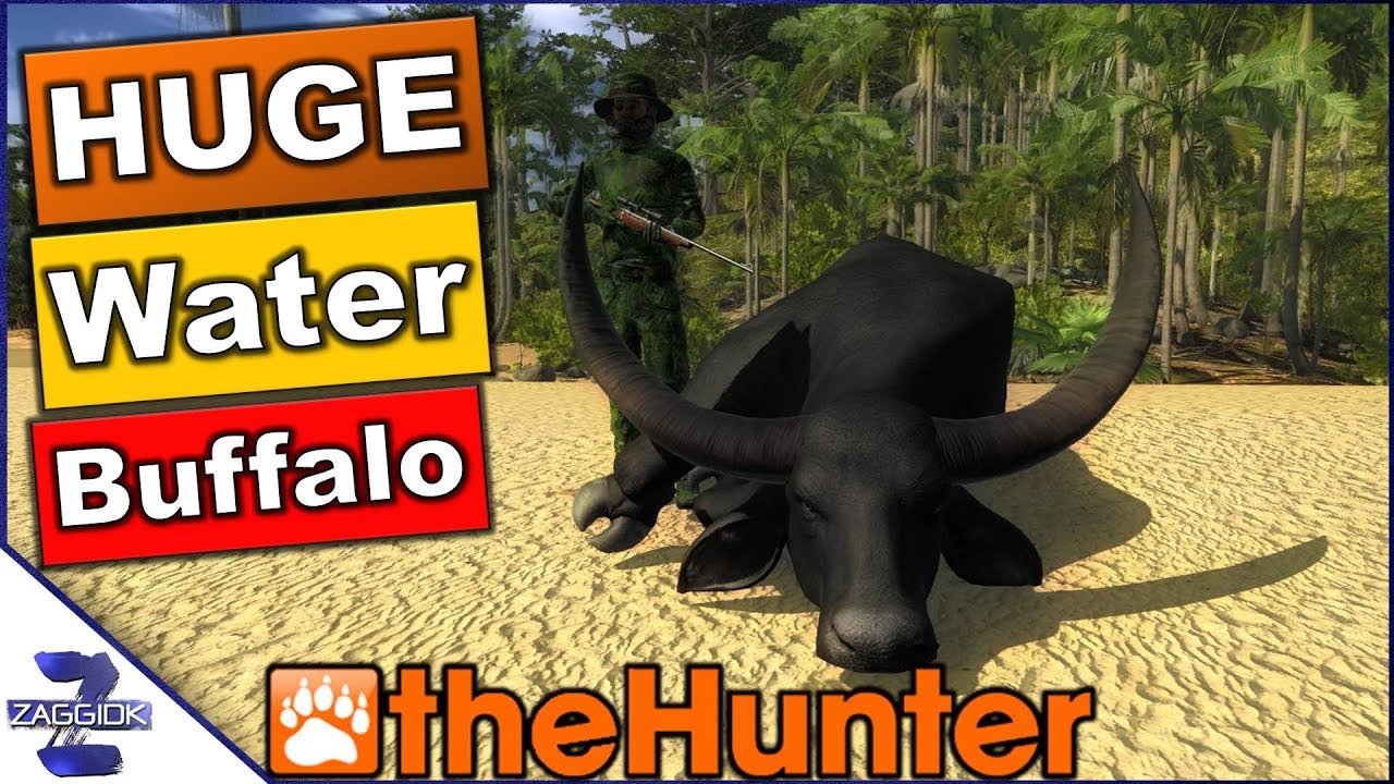 Monster Water Buffalo TheHunter Classic 2017 - YouTube