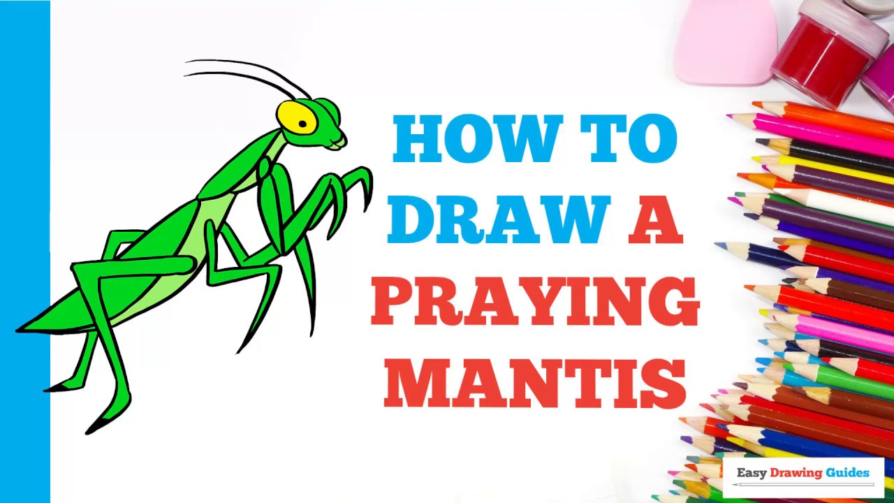 How to Draw a Praying Mantis in a Few Easy Steps: Drawing Tutorial for Beginner Artists - YouTube