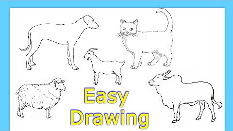 How to Draw Animals - YouTube