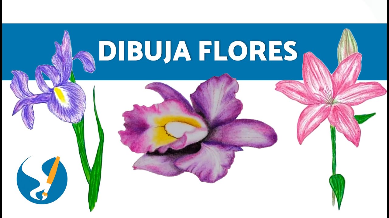 Como dibujar Flores: Domina Orquídeas, Lirios e Iris con un Toque de ...