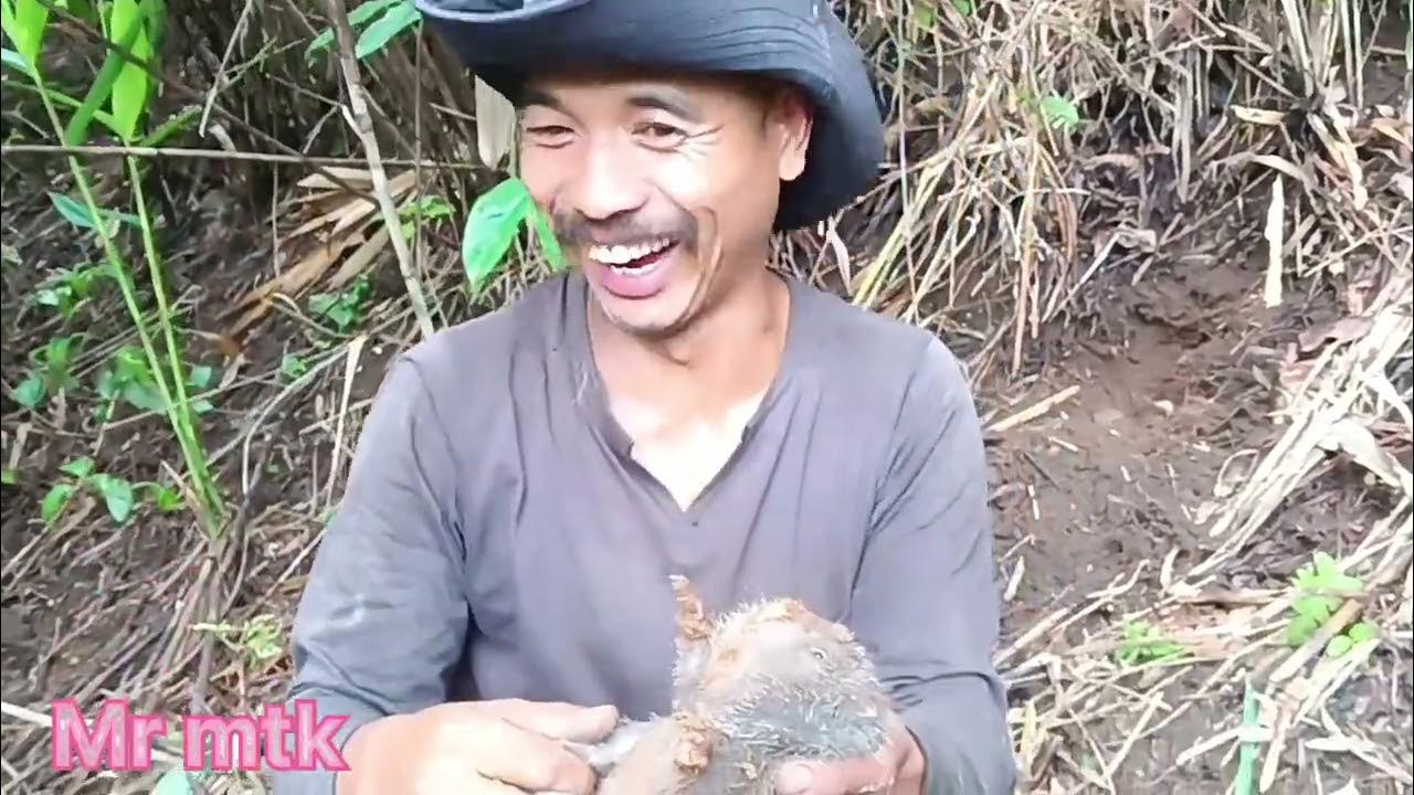 Lucky day|| we got five bamboo rats - YouTube