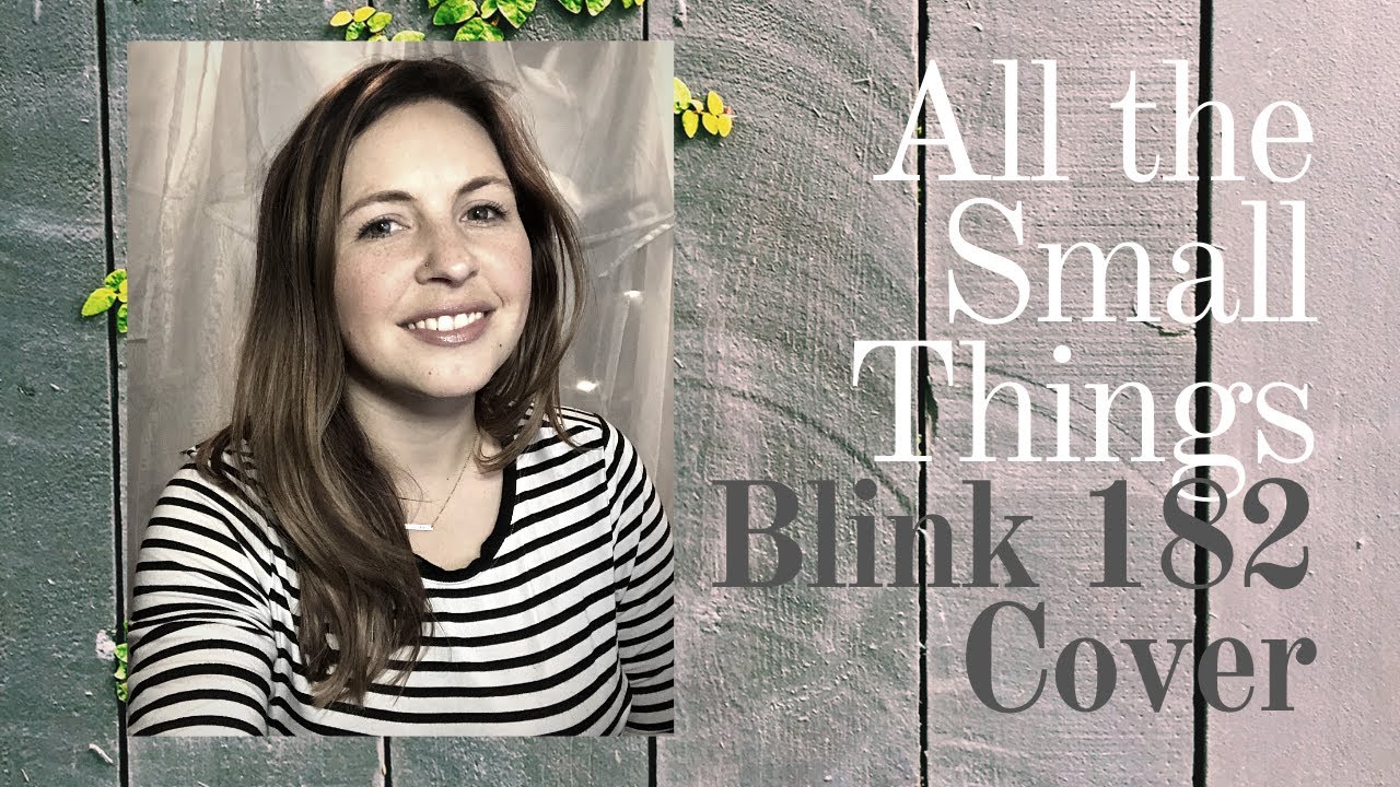 All the Small Things (Blink 182 Cover) Acoustic Music Video - Amber ...