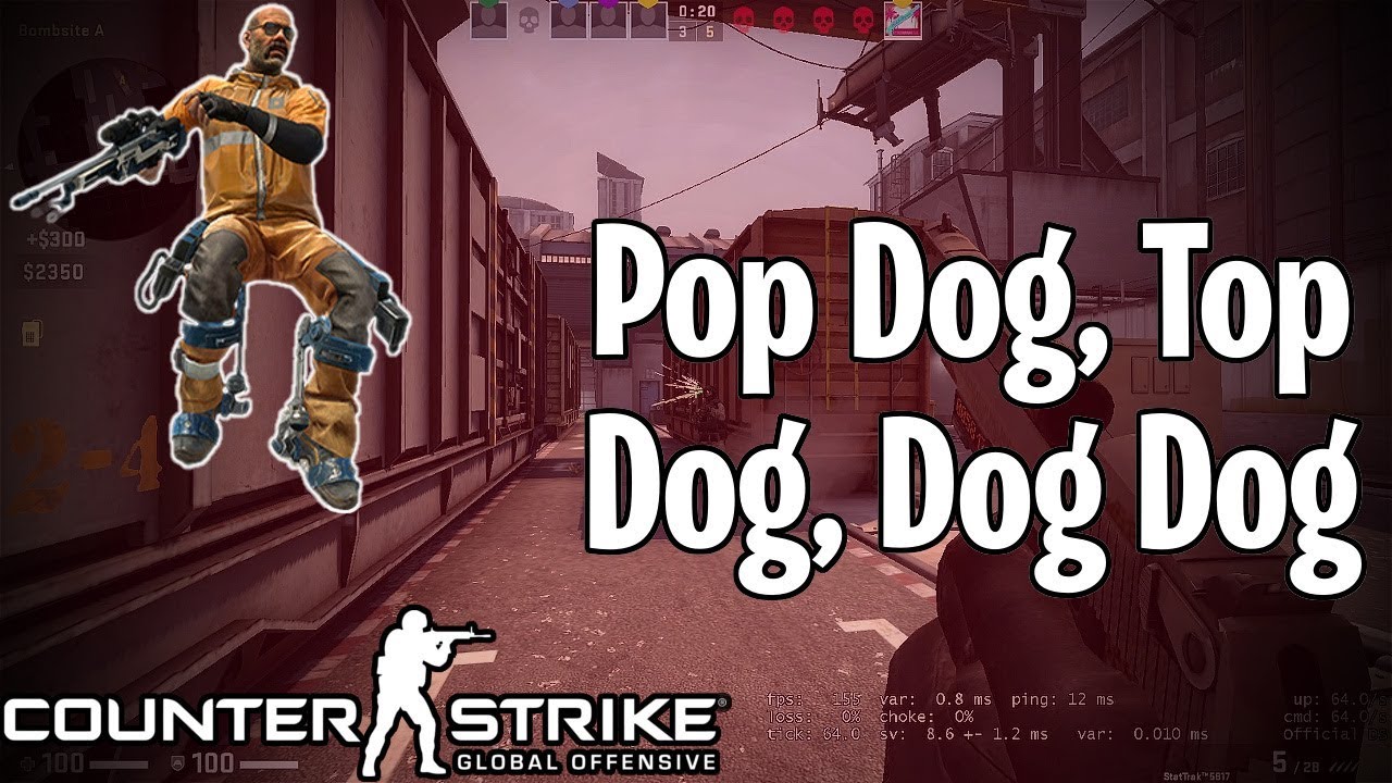 Pop Dog, Top Dog, Dog Dog (CS:GO Competitive) w/FirstCrimson - YouTube