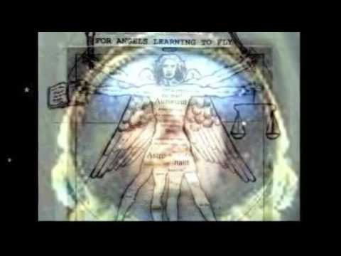 Academy Of Angels - A Step-By-Step Guide For Angels Learning To Fly ...