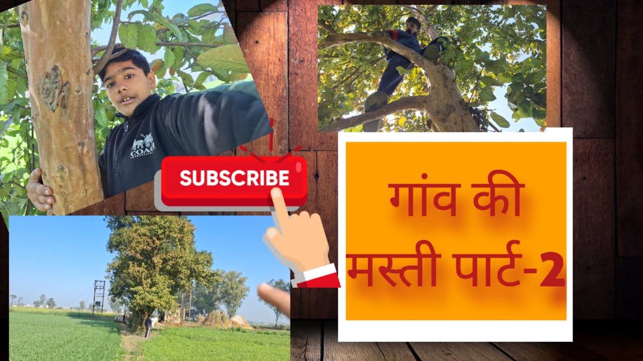 24 hours on Guava tree challenge गांव की मस्ती पार्ट-2 - YouTube