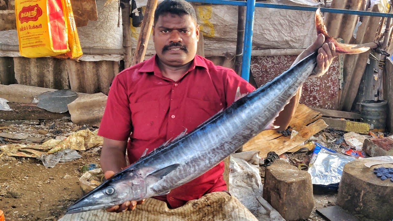 KING FISH CUTTING BY FISH CUTTING KING SELVAM BLASH🔪 SLICING SKILLS🔪KF ...