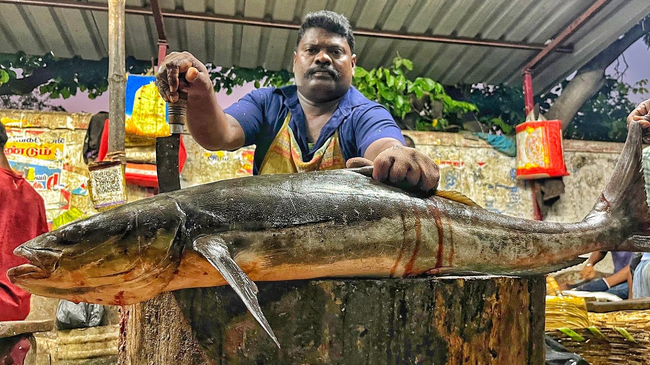 KASIMEDU SPEED SELVAM | HUGE COBIA FISH CUTTING VIDEO | 4K VIDEO | KM ...