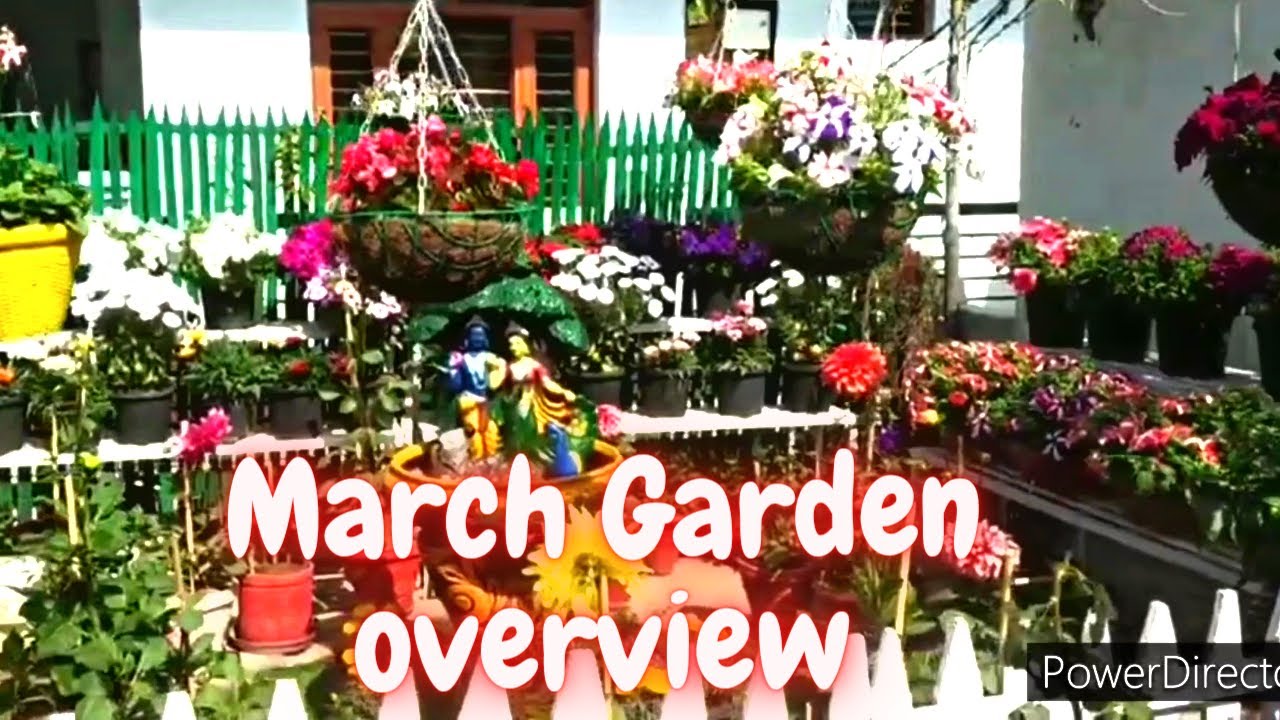 March Garden overview - YouTube
