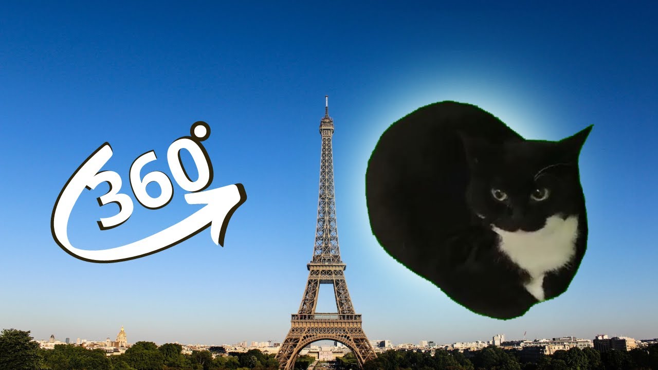 Return of MAXWELL THE SPINNING CAT In Paris - YouTube