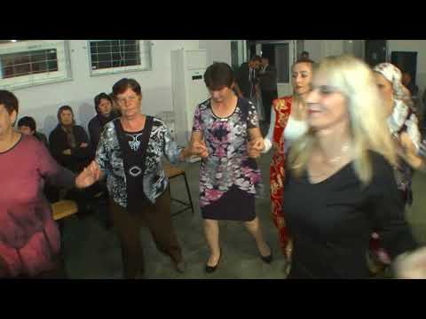FİKRIE VE MUSTAFA PET MOGİLI  2.BÖLÜM