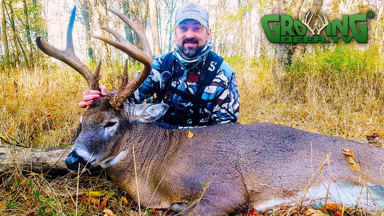 This Strategy Gets Another Bruiser Buck! (585) - YouTube