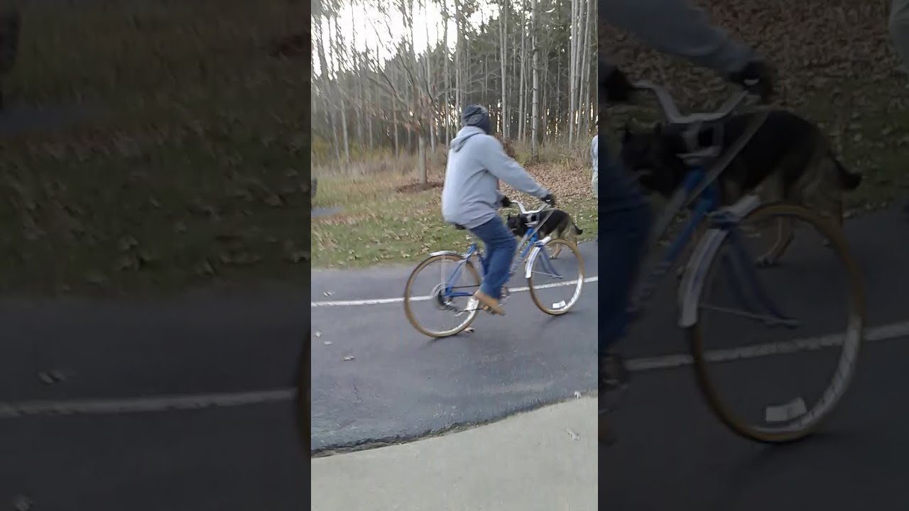 Rock Springs Decatur, IL Bike Trail and Historical Homestead and Garden ...