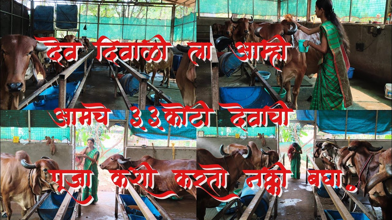 Kokanat Dev diwalila 33 koti devanchi pooja || कोकणात देव दिवाळीला 33 ...