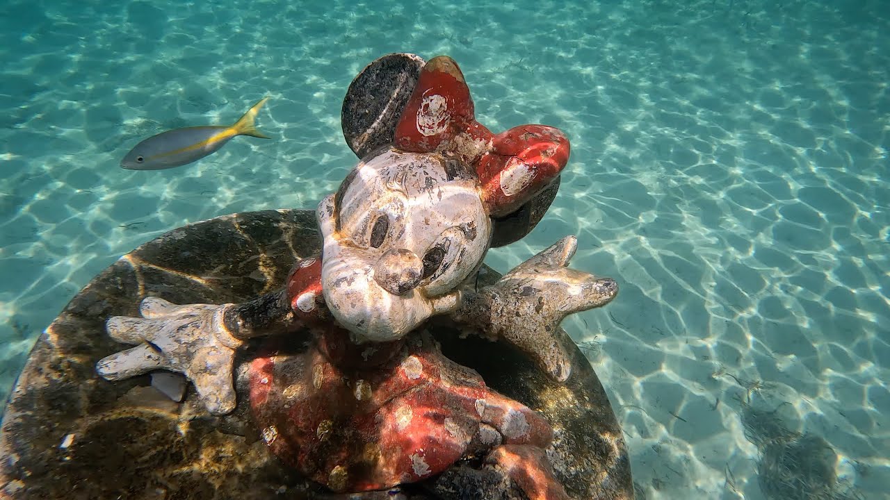 Disney's Castaway Cay: Snorkeling for Sea Treasures! - YouTube