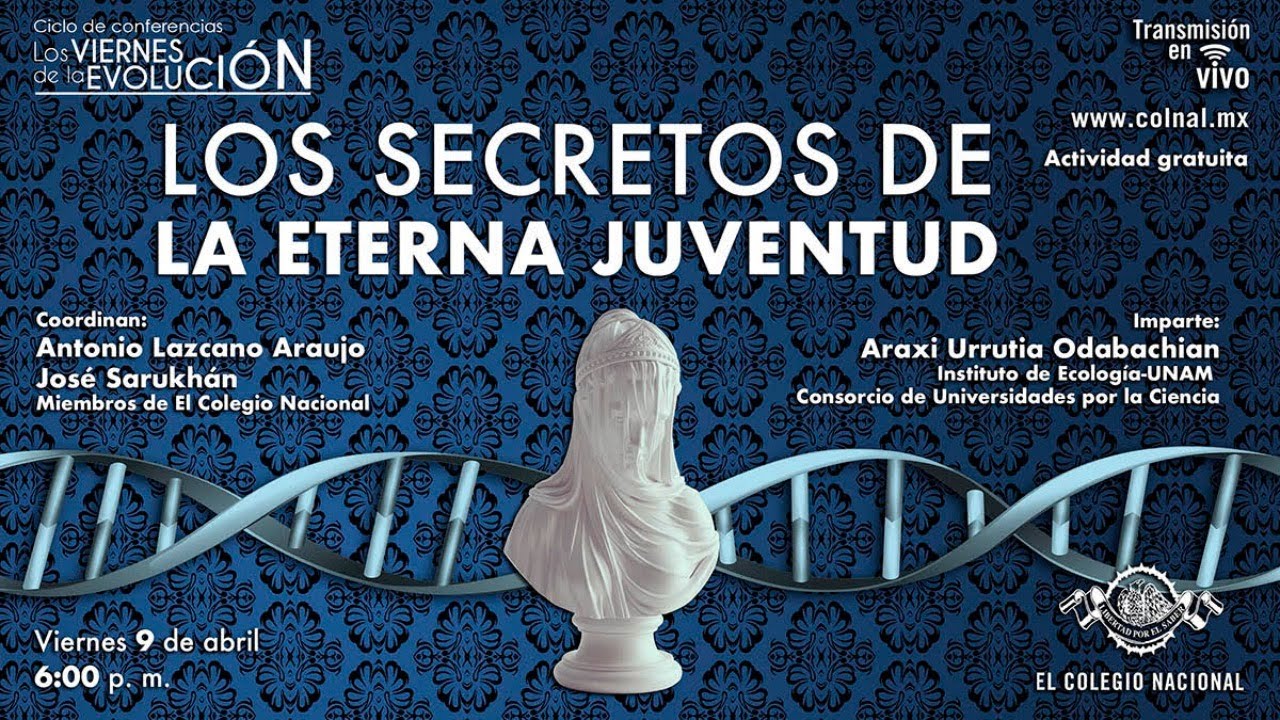 Los secretos de la eterna juventud - YouTube