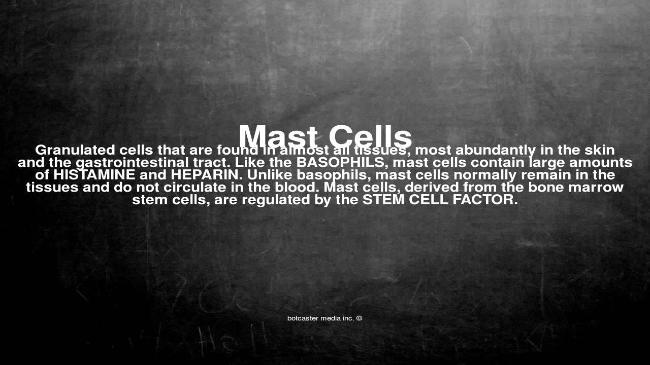 Medical vocabulary: What does Mast Cells mean - YouTube