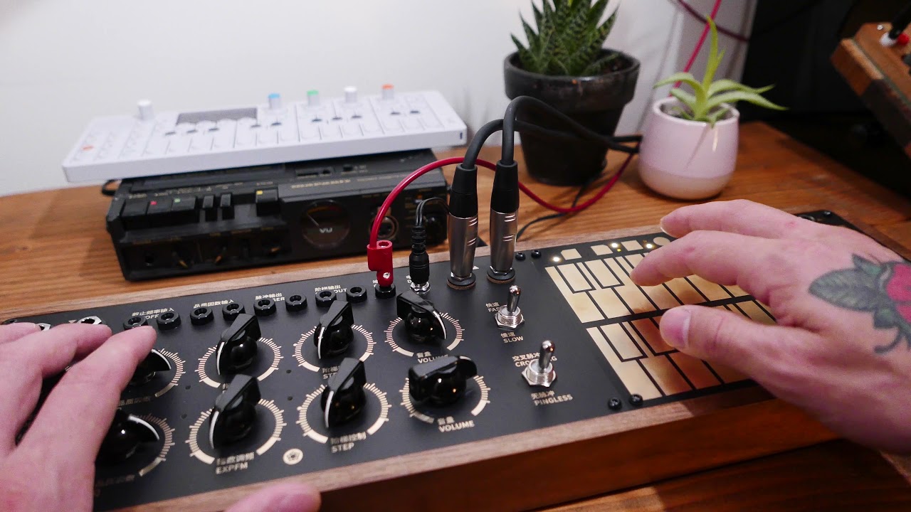 Wing Pinger Sessions: Patchbaydoor - YouTube