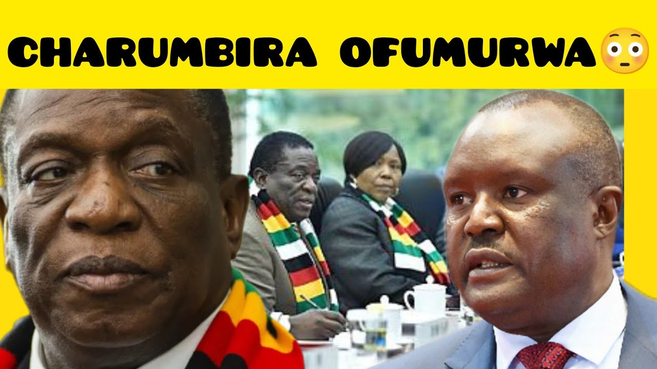 HONDO YOTANGA CHIEF CHARUMBIRA VOMHANYISWA KU ZANU 😳 - YouTube