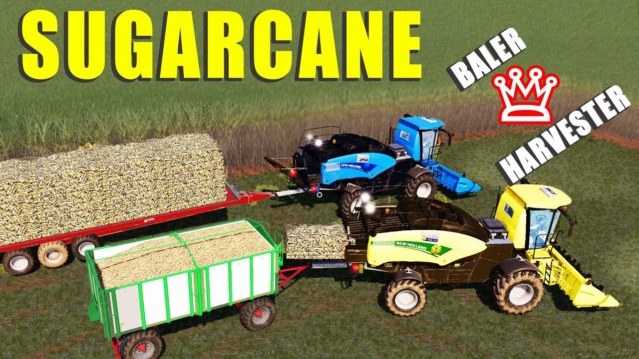 Sugarcane Harvester & Baler! Auto Loading, Selling! Power King Machines ...