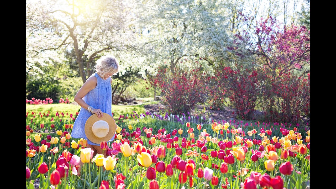 1 Hour of Relaxing Music, Relaxing Spring Music, Therapy Music, Spa ...