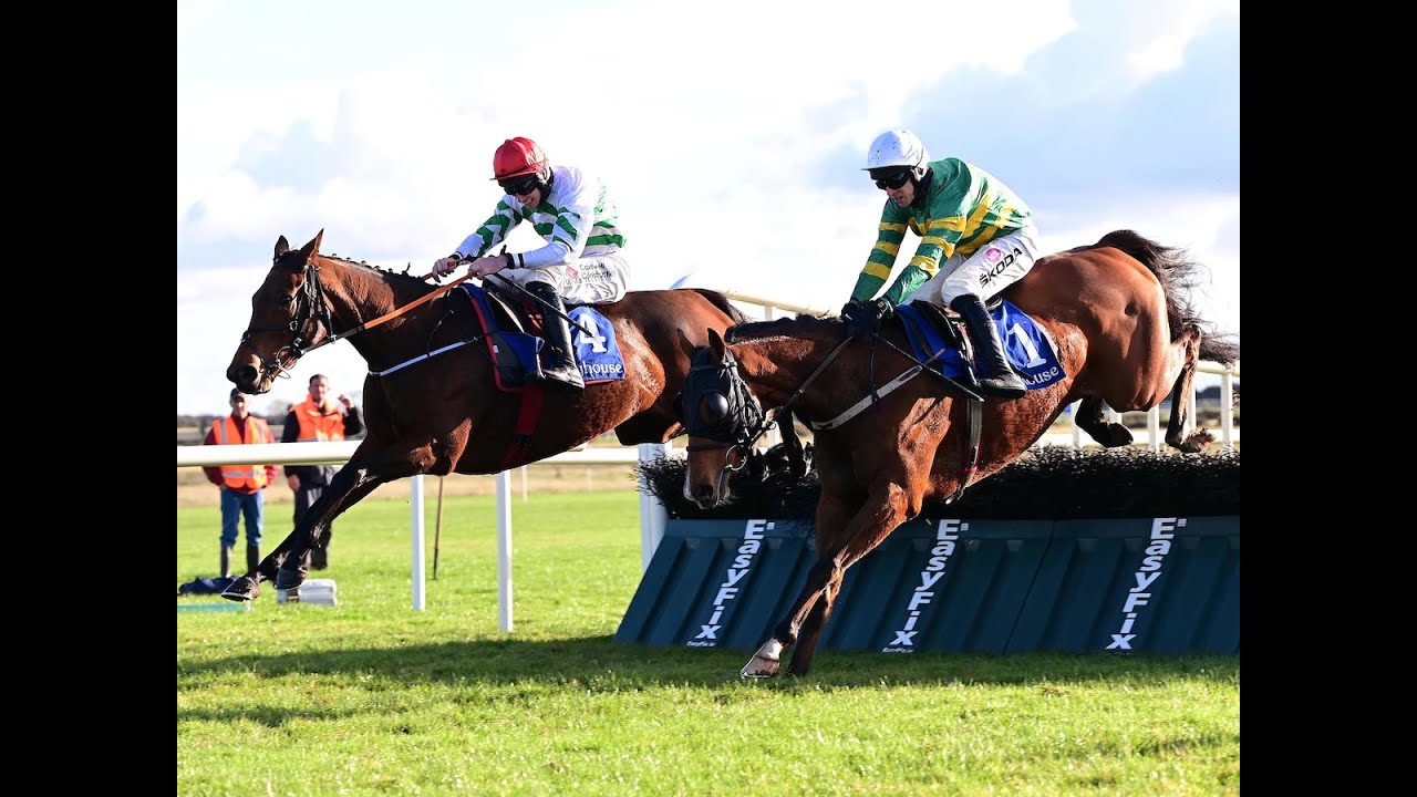 REPLAY: New Year's Day Racing from Tramore and Fairyhouse - YouTube
