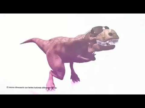 SOPA DE MACACO 1 HORA - YouTube