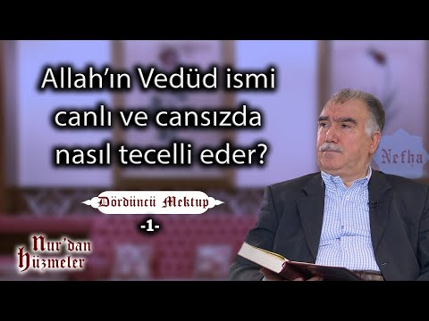 Allah'ın Vedüd ismi nasıl tecelli eder? l Dördüncü Mektup - 1 l Mektubat Dersleri l Abdullah Aymaz