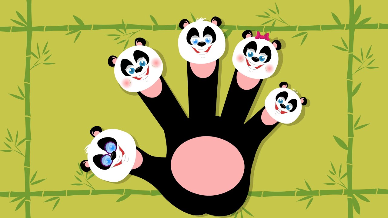 Pandas Finger Family | Songs For children - YouTube