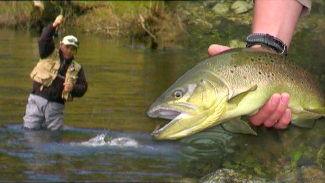 Mušičarenje na reci Ribnik 2 | Fly fishing on river Ribnik - YouTube