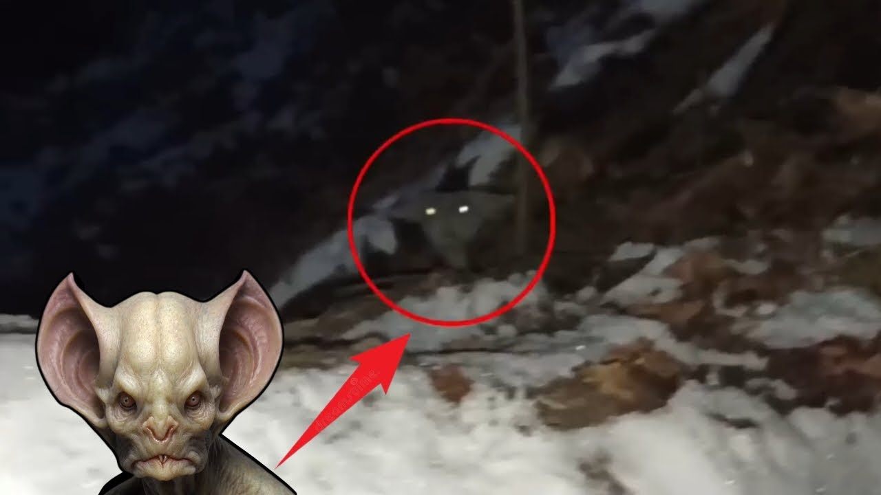 Real Life Alien | CRAZIEST VIDEOS ON YOUTUBE #8 - YouTube