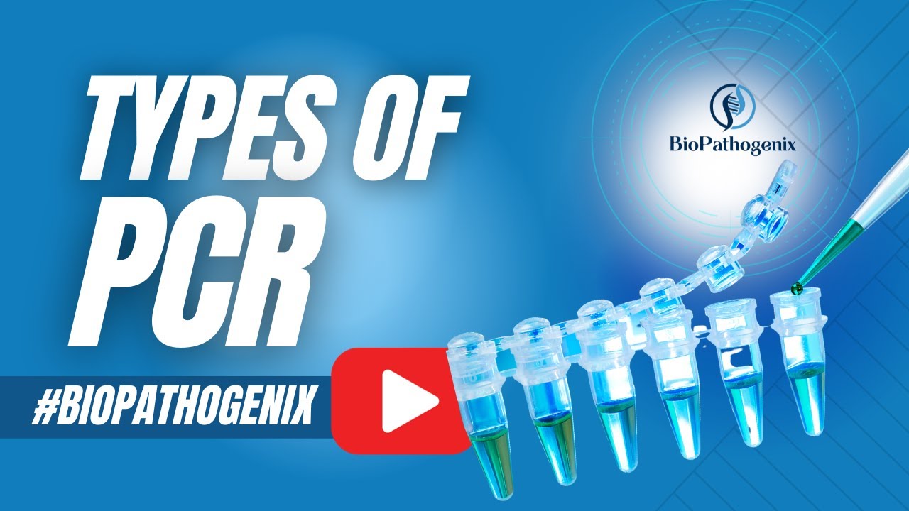 Types of PCR | What is PCR? #labsupplies #laboratorysolutions - YouTube