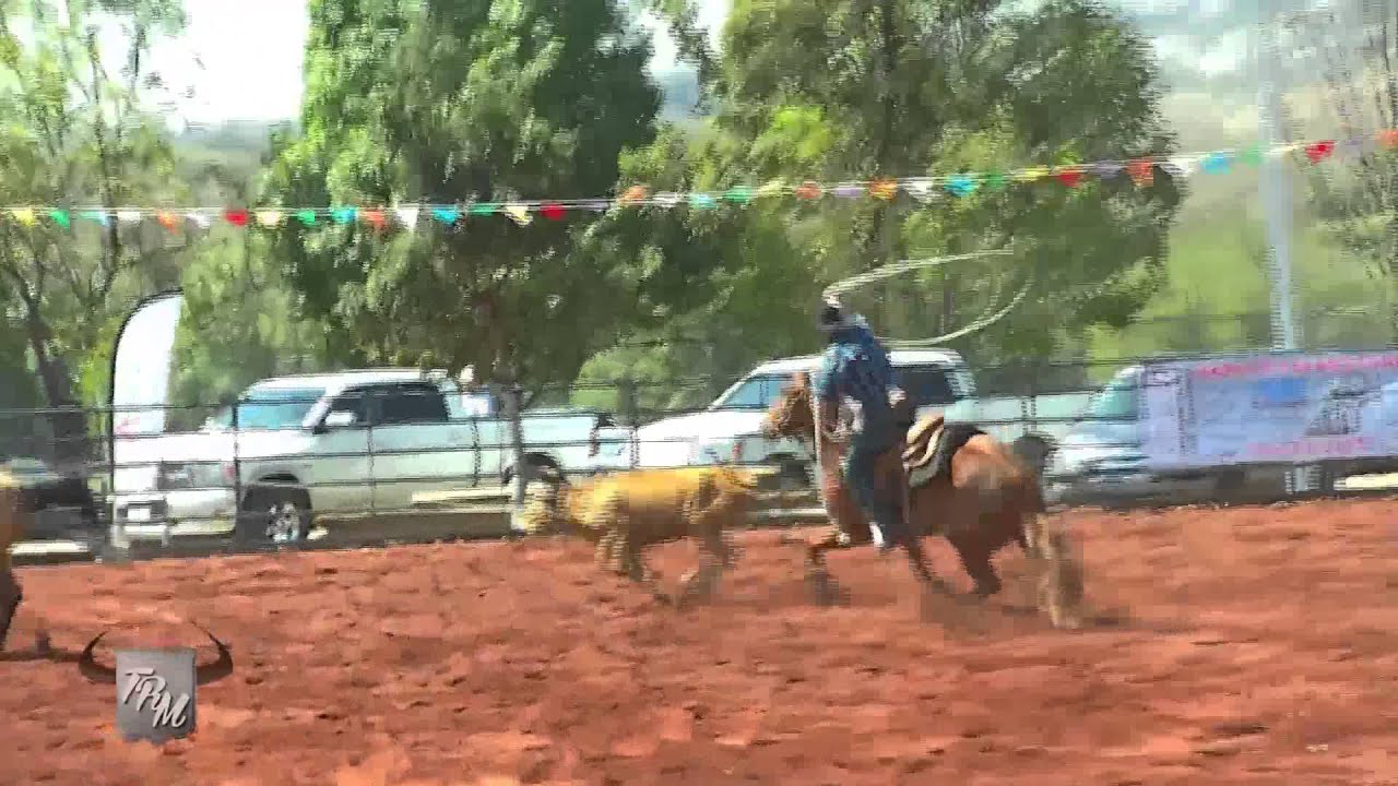 II Aniversario Team Roping México - YouTube