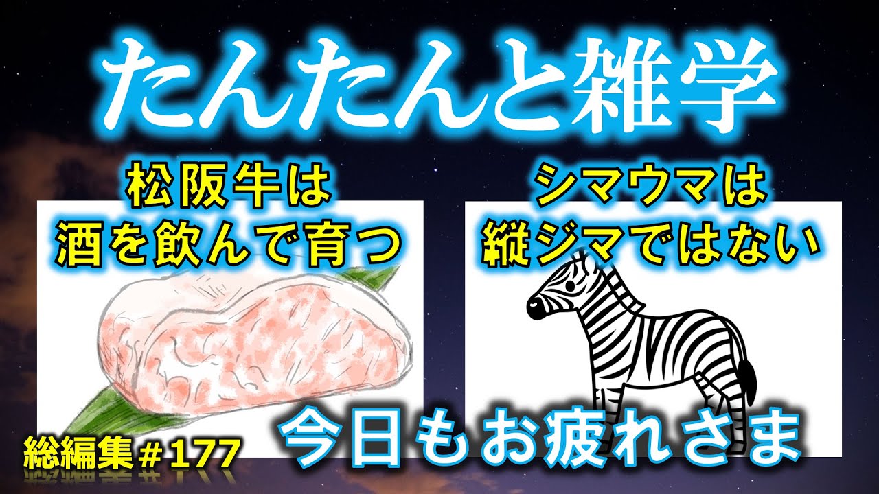 【睡眠導入】たんたんと雑学(雑学シリーズ総編集 177 【作業用・睡眠用bgm・聞き流し・リラックス・不眠症対策 トリビア・豆知識・小話