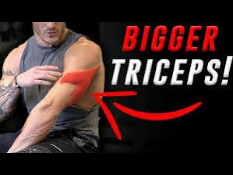 "Triceps Workout: Build Strength & Size Fast!"#triceps - YouTube
