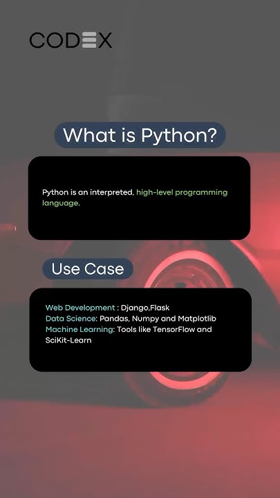 Codex | Code Like a Pro! 🚀 | Part 1: The Ultimate Beginner’s Guide ...