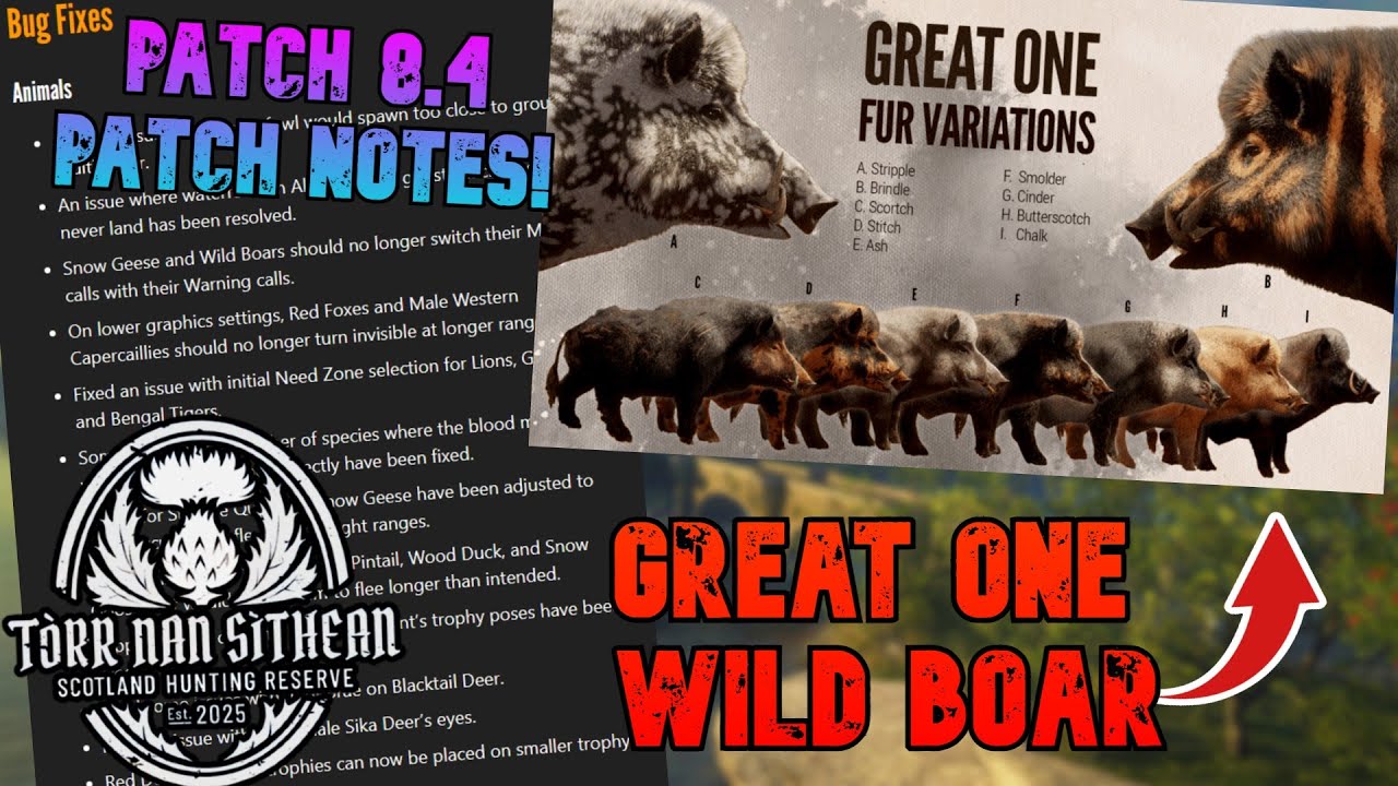 GREAT ONE WILD BOAR FURS REVEALED!!! Going Over Everything In Patch 8.4 ...