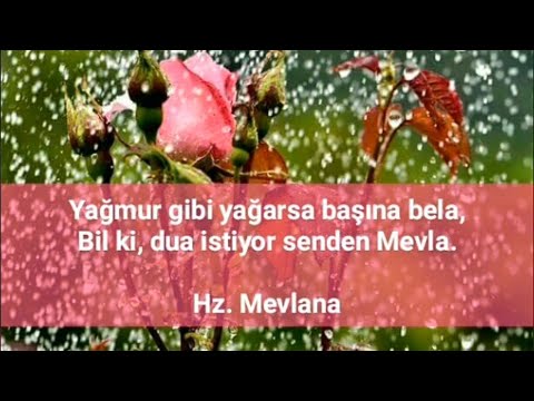 Dua ve sabır imtihanın ilacıdır. 👉 Güzel Sözler🌹 Anlamlı Sözler🌹Dini Sözler 🌹Aşırı Anlamlı Sözler
