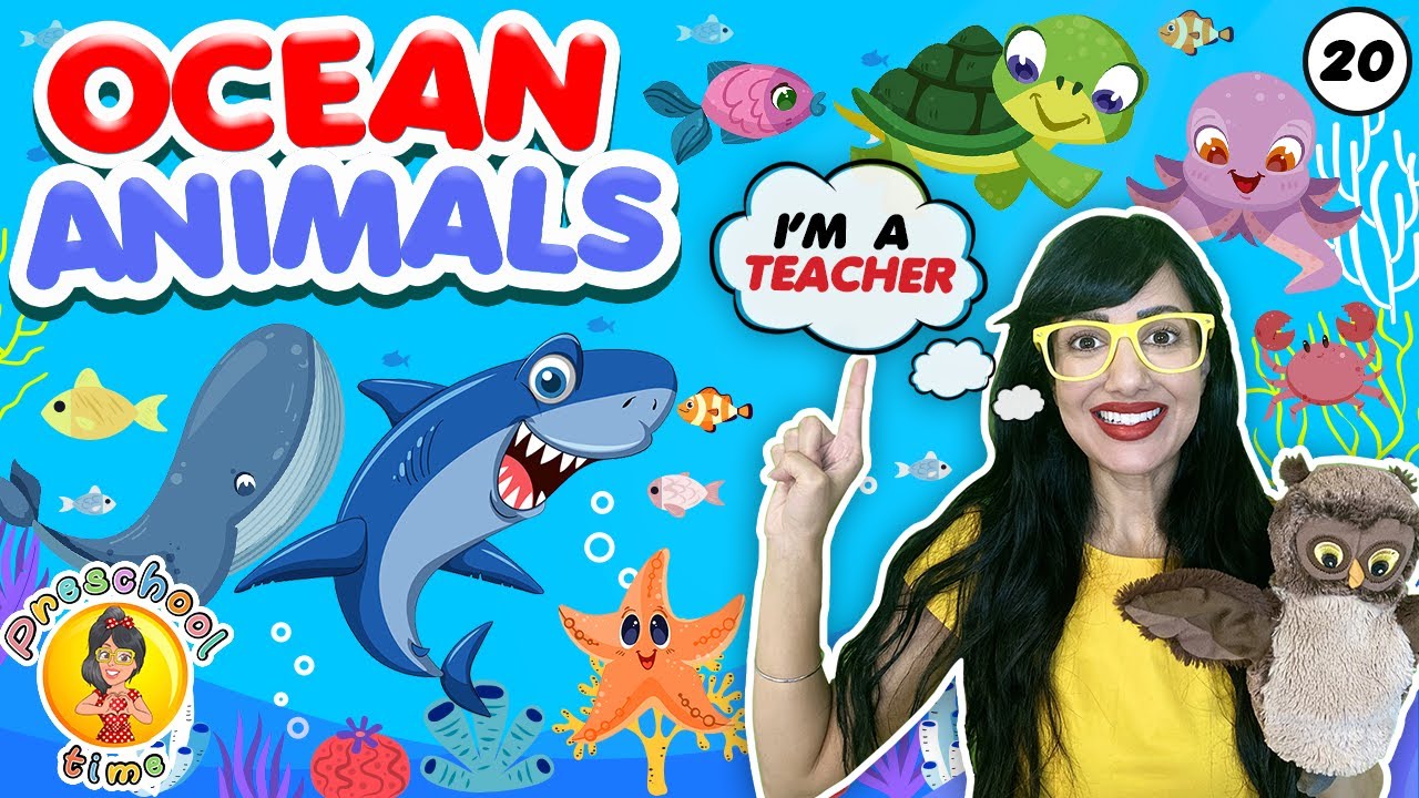 The Fascinating World of Ocean Animals l Educational l Preschoolers l ...