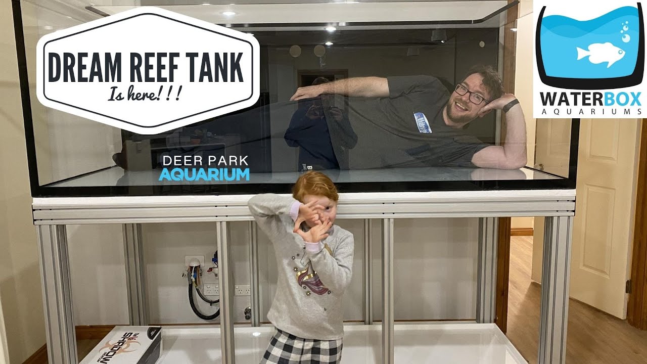 My Dream Reef Tank is Here! Custom Waterbox - YouTube