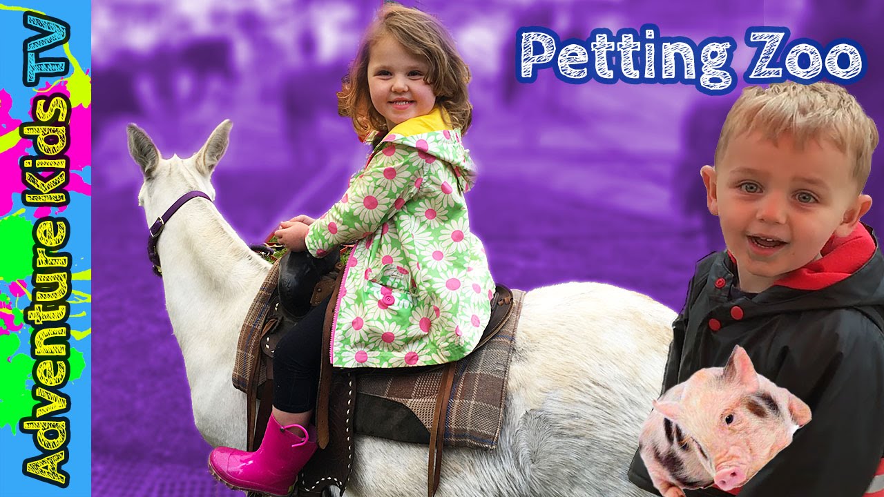 Adventure Kids TV Visit the Great American Petting Zoo at Auburn's ...