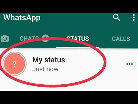 How To Fix My Whatsapp Status Not Showing Other Person Problem Solve