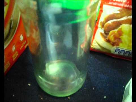 homemade fruit fly medium - YouTube