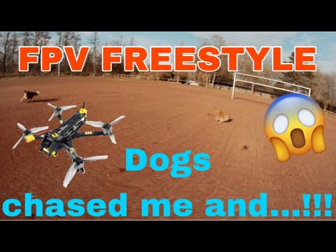Flying FPV until the DOGS… FPV FREESTYLE/CINAMATIC - YouTube