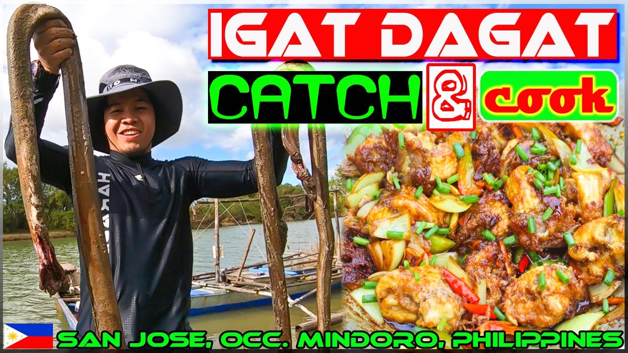 EP37 - Igat Dagat (Malabanos) Catch and Wild Cook {Sweet 'n Spicy Eel ...