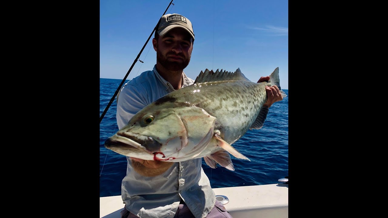 Crystal River Big Gag Grouper and Red Snapper Fishing on the 27 ...