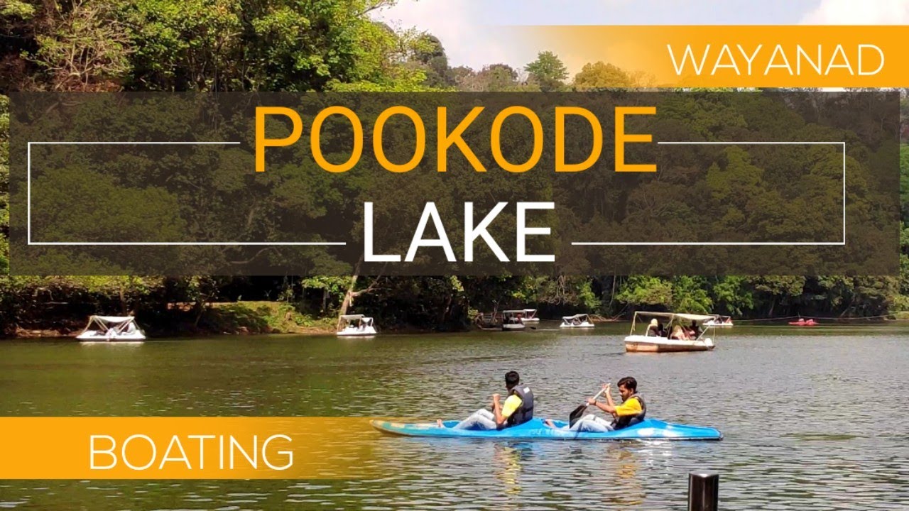 Pookode Lake | Boating |Wayanad - YouTube