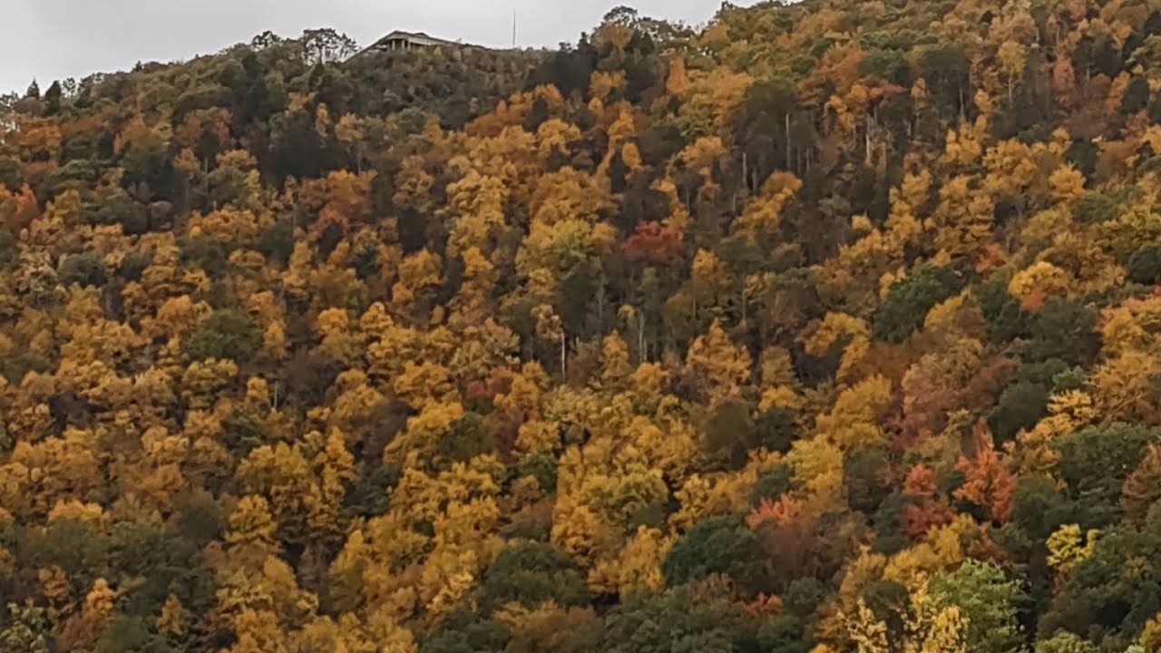 Another panoramic view of the peak fall foliage in Jim Thorpe PA - YouTube