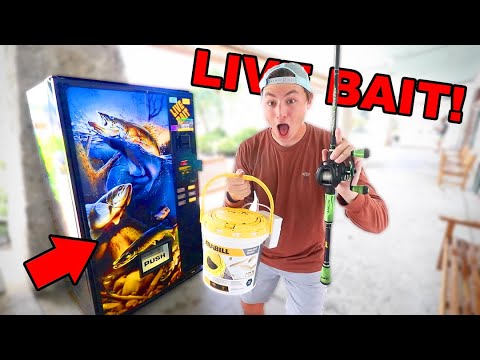 Live Bait VENDING MACHINE Catches BIG FISH! - YouTube